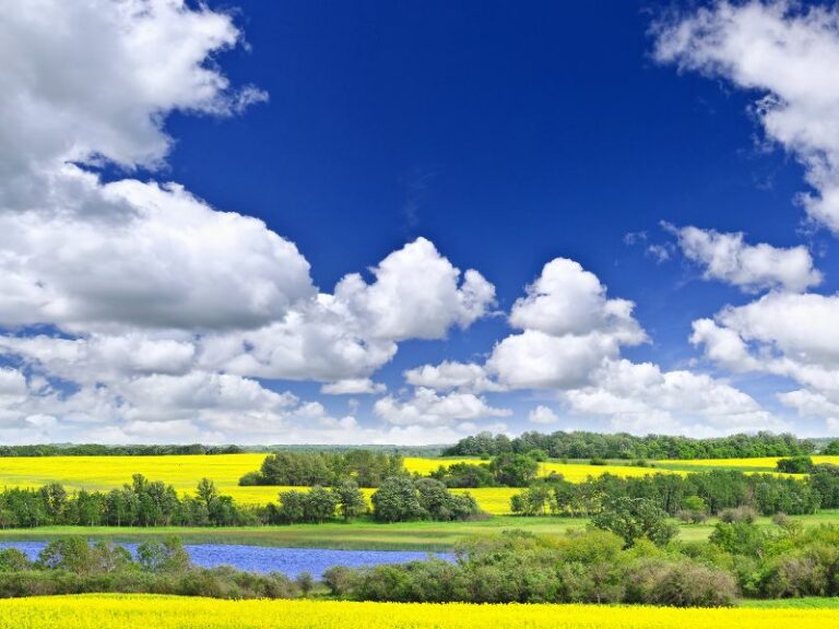 Best Saskatchewan Bucket list: 20 Things To Do In SK